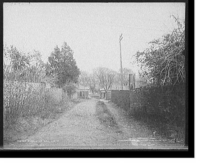 Historic Print, Surpentine [i.e. serpentine] Wall, U. of Va., 18" x 24 ...