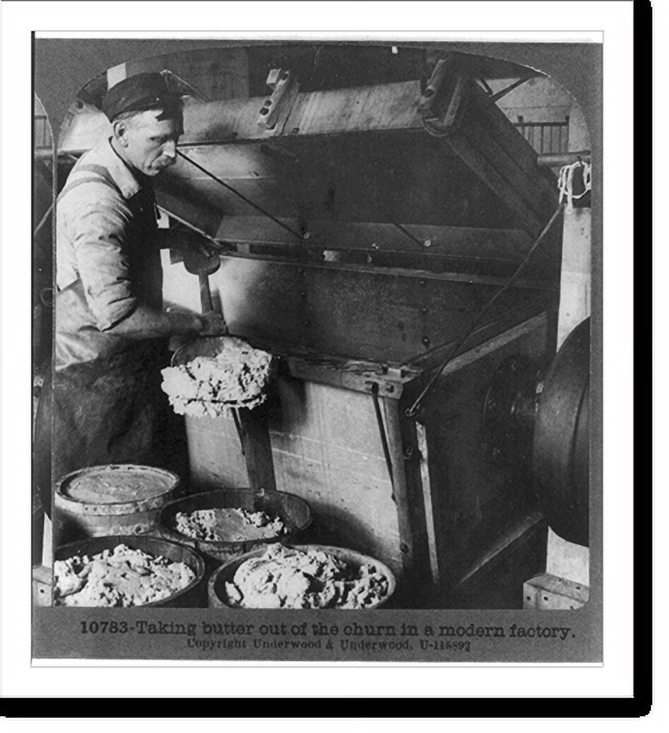 Historic Print, Taking butter out of the churn in a modern factory, 16 ...