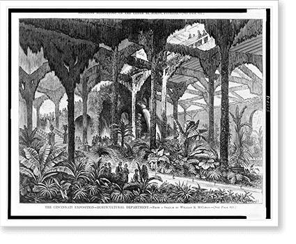 Historic Print, The Cincinnati Exposition - horticultural department ...