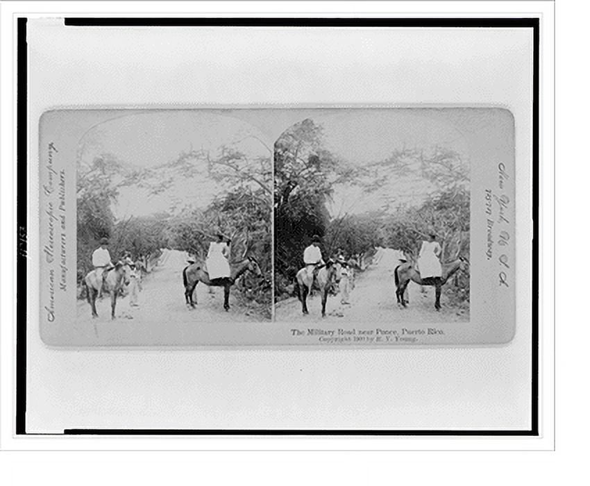 Historic Print, The Military Road near Ponce Puerto Rico, 16" x 20 ...