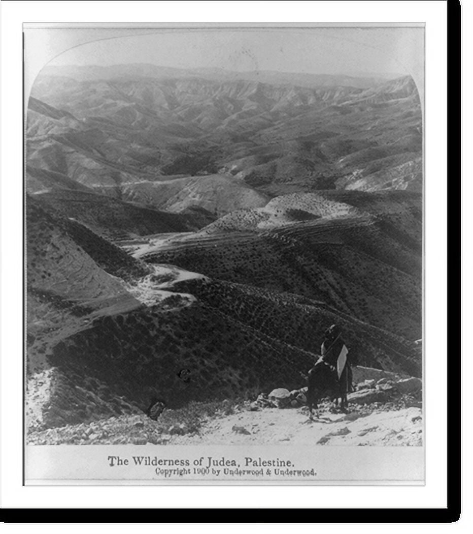 Historic Print, The Wilderness of Judea, Palestine, 16" x 20" - Walmart.com