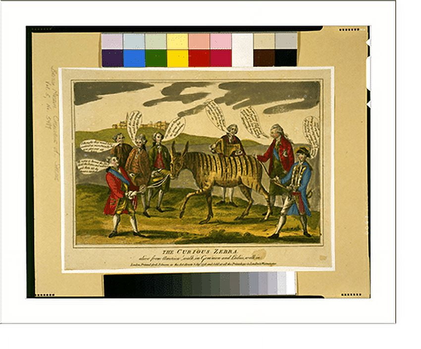 Historic Print, The curious zebra - alive from America! walk in gem'men ...