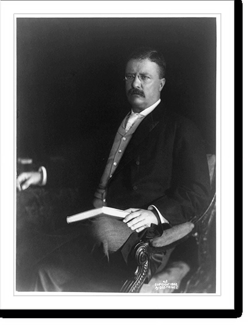 Historic Print, [Theodore Roosevelt, three-quarter length portrait ...
