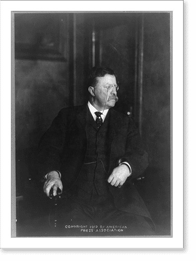 Historic Print, [Theodore Roosevelt, three-quarter length portrait ...