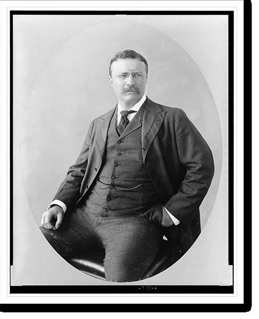 Historic Print, [Theodore Roosevelt, three-quarter length portrait ...