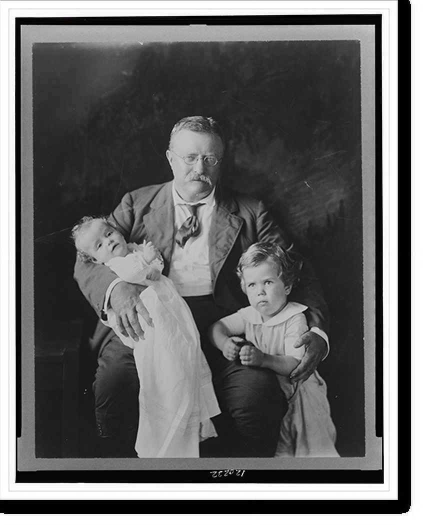 Historic Print, [Theodore Roosevelt, three-quarter length portrait ...