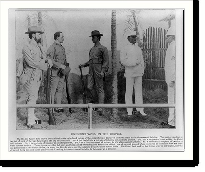 Historic Print, [U.S. Army uniform display in Government Bldg., St ...