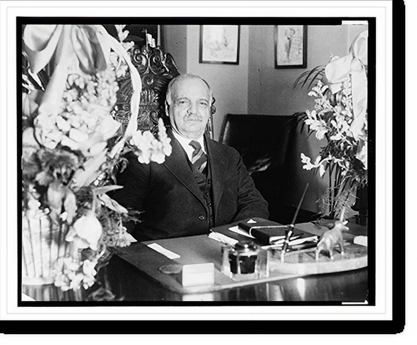 Historic Print, [Vice President Charles Curtis, half-length portrait ...