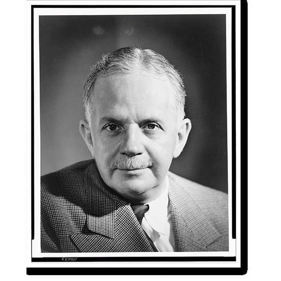 Historic Print, [Walter White, head-and-shoulders portrait, facing ...