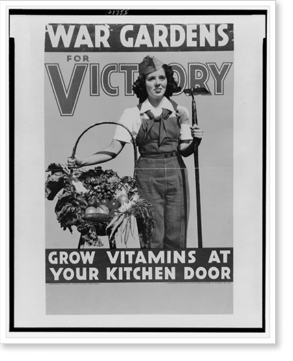 Historic Print, War gardens for victory. Grow vitamins at your kitchen ...