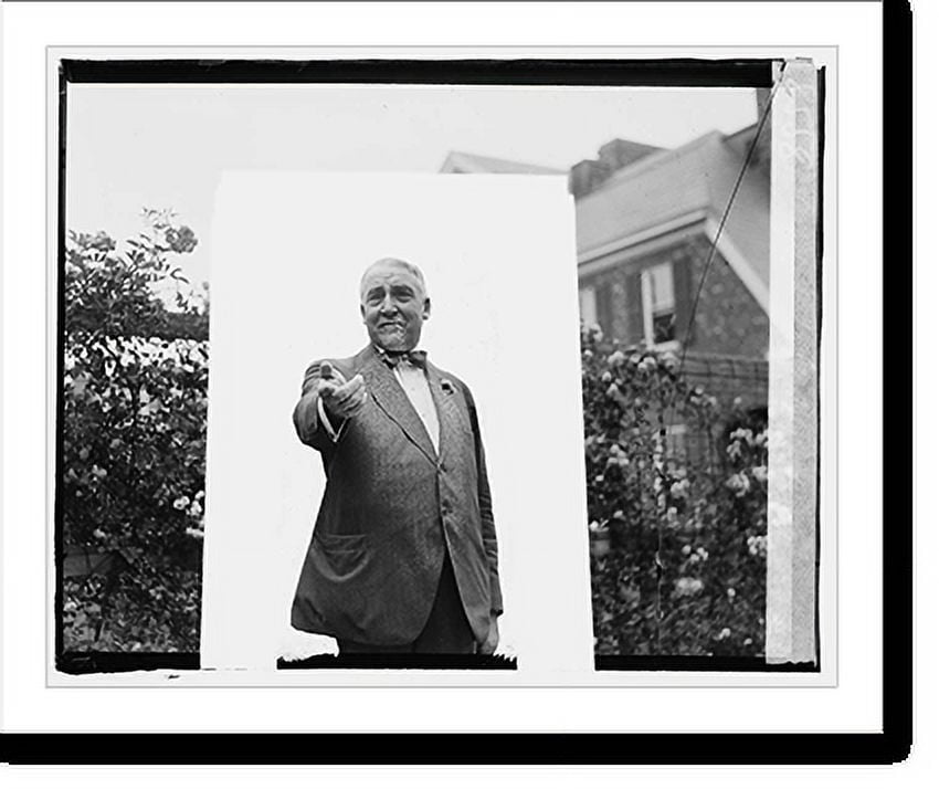 Historic Print, Warren G. Harding - 21, 16" x 20" - Walmart.com