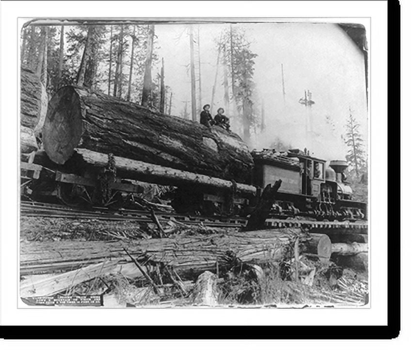 Historic Print, Washington logging train going down a mountain, on ...