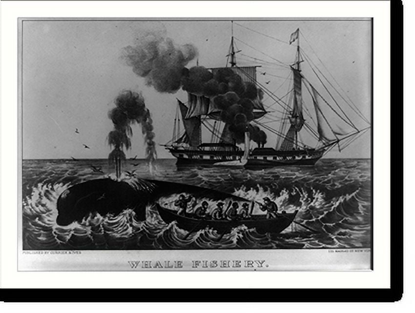 Historic Print, Whale fishery: attacking a right whale, 18" x 24 ...