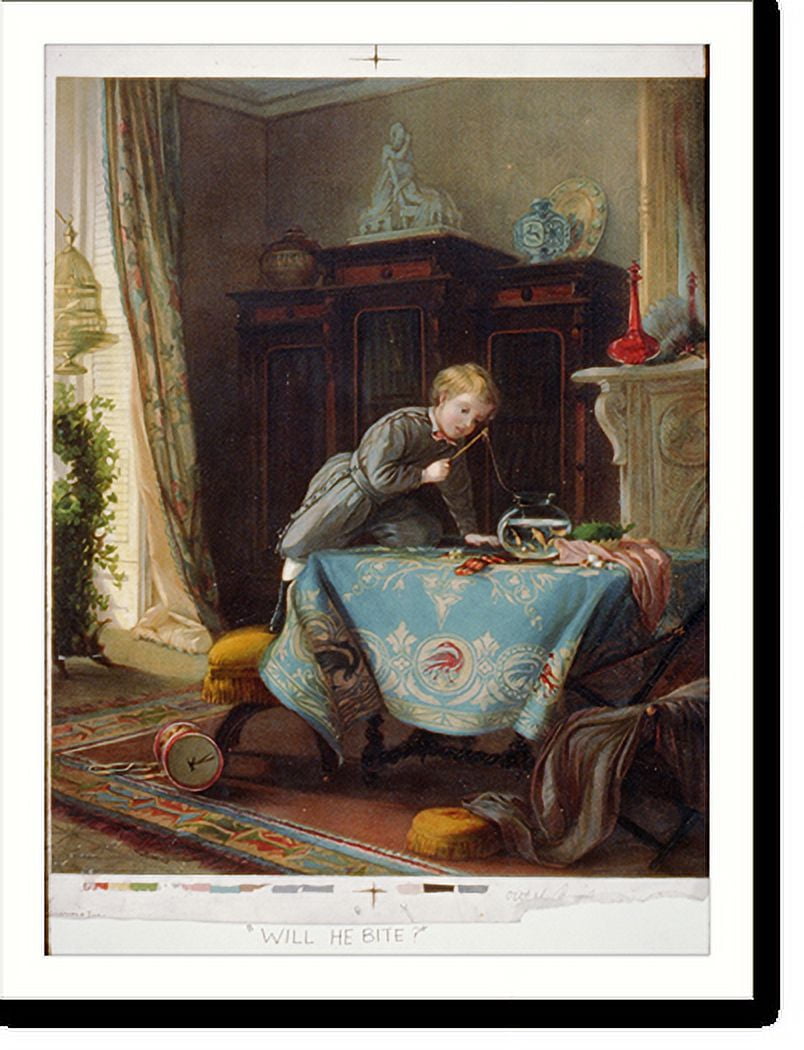 Historic Print, Will he bite?, 18" x 24" - Walmart.com