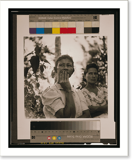 Historic Print, Woman waiting for land lottery, Puerto Rico, 1946, 16 ...