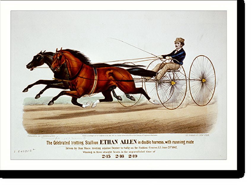 Historic Print, The celebrated trotting Stallion Ethan Allen in double ...