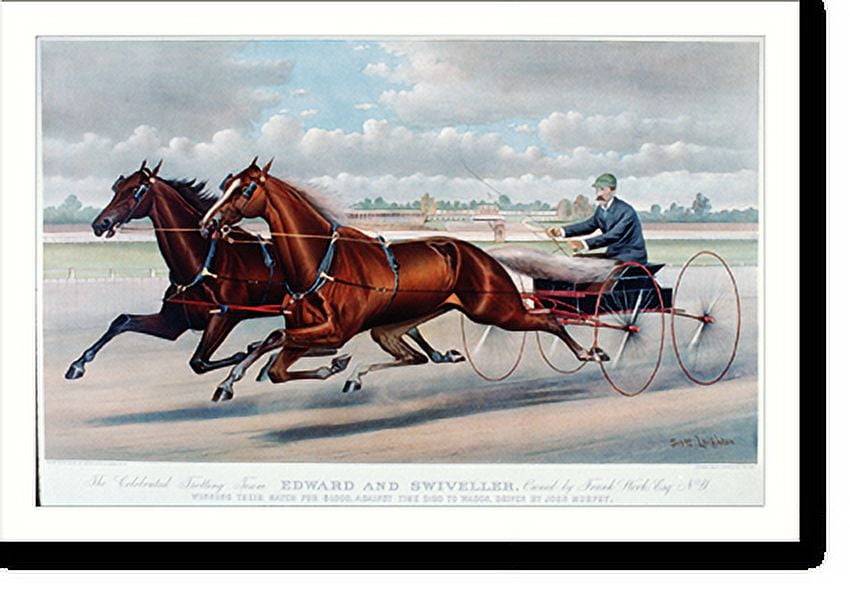 Historic Print, The celebrated trotting Team Edward and Swiveller ...
