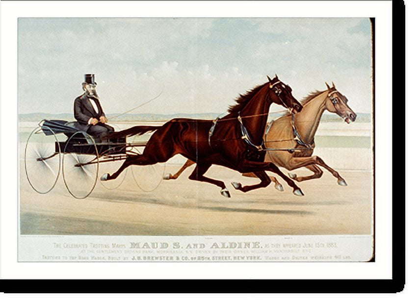 Historic Print, The celebrated trotting mares Maud S. and Aldine, as ...