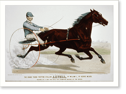 Historic Print, The grand young trotting stallion Axtell, by William L ...