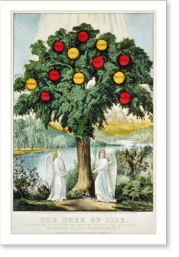 Historic Print, The tree of life: on either side of the river was there ...