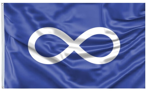 Historical Metis Flag Polyester 3x5 FT banner - Walmart.com