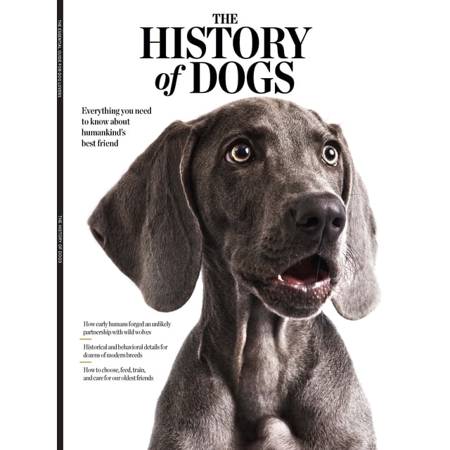 History of Dogs - Why Dogs Think, Look Act The Way They Do. Learn Tips ...