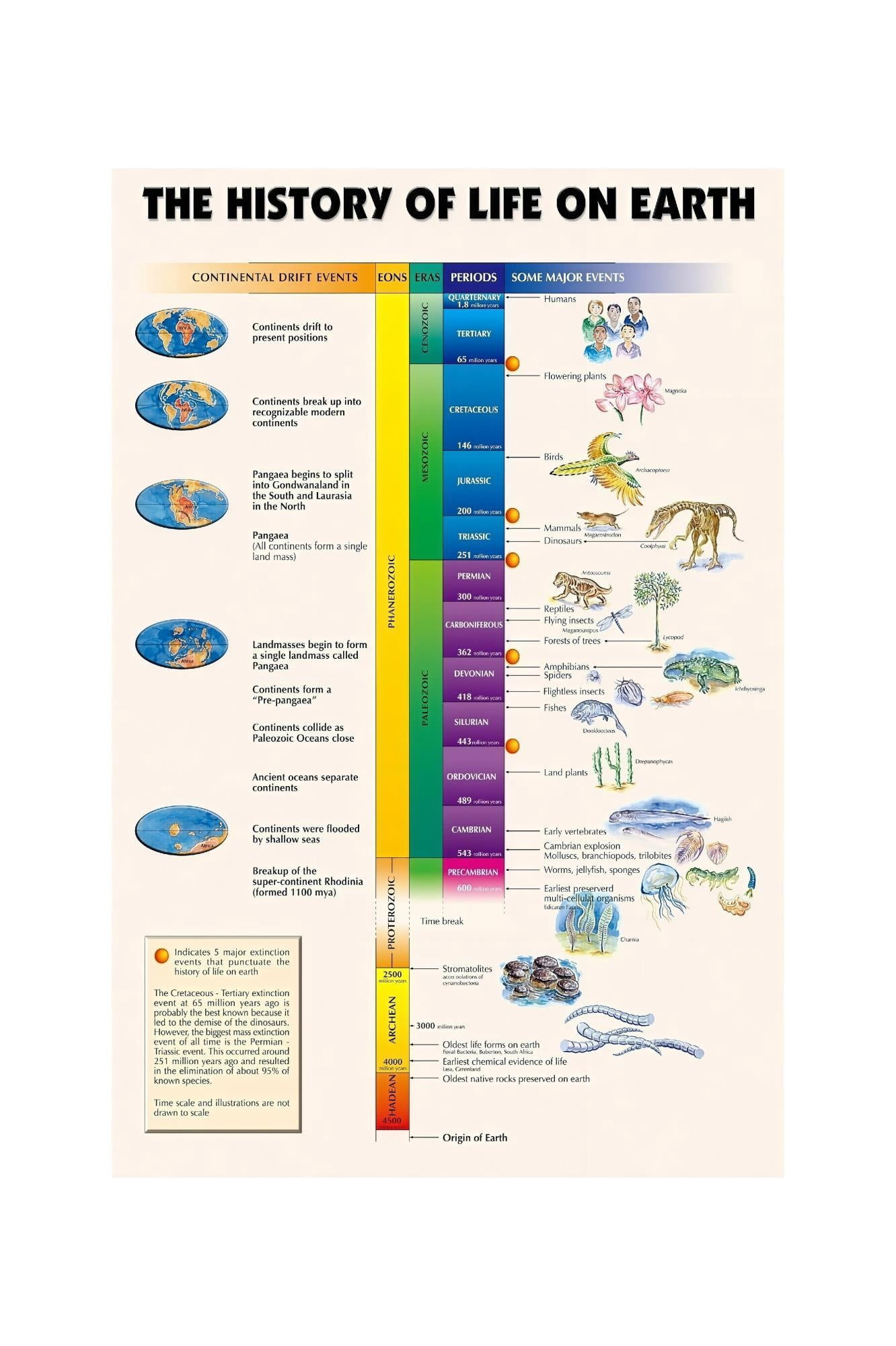 History of Life on Earth Poster Geological Timeline Chart - Walmart.com
