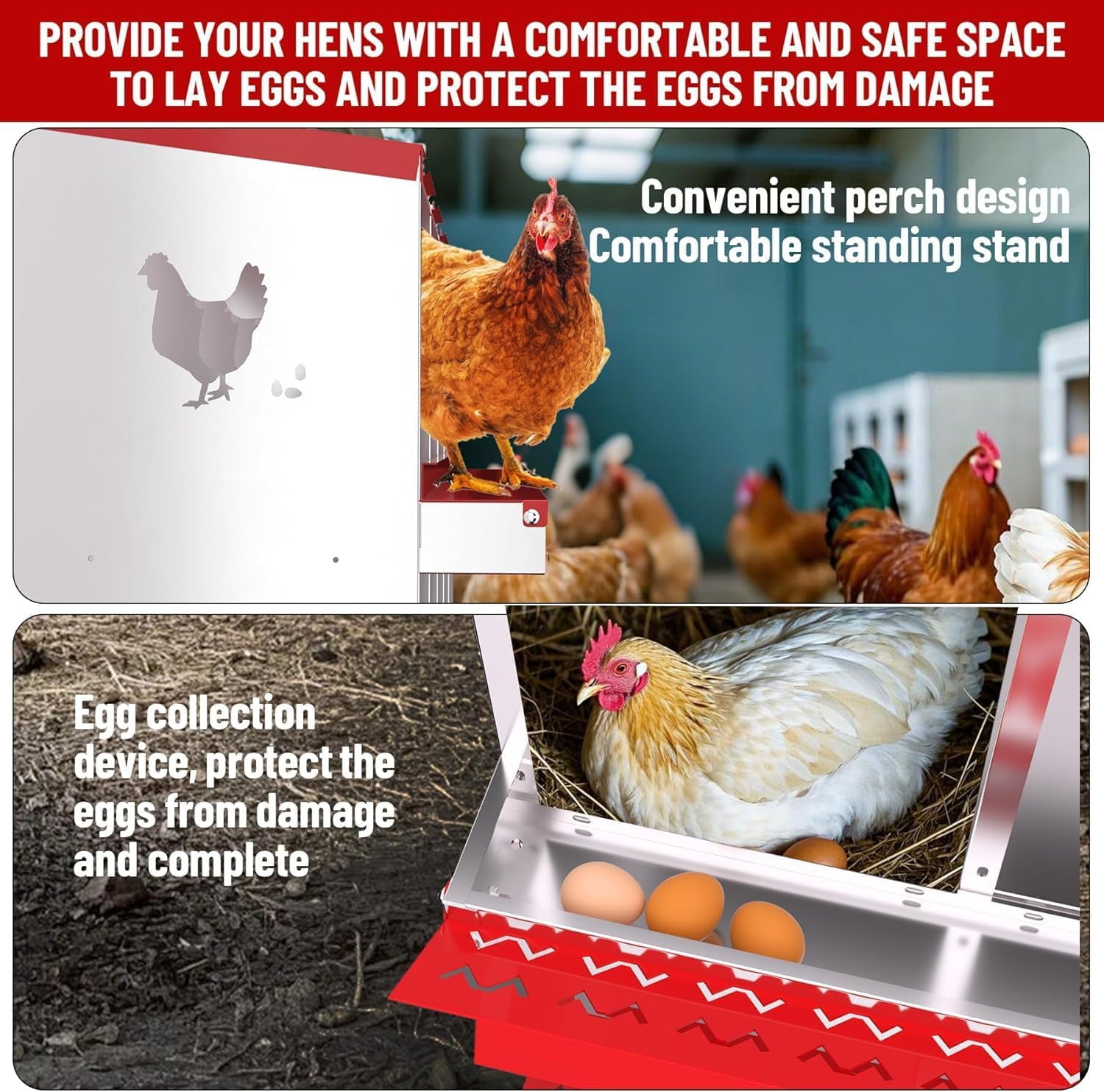 Historyli Metal Chicken Nesting Box-6 Compartments with Rollout Egg ...