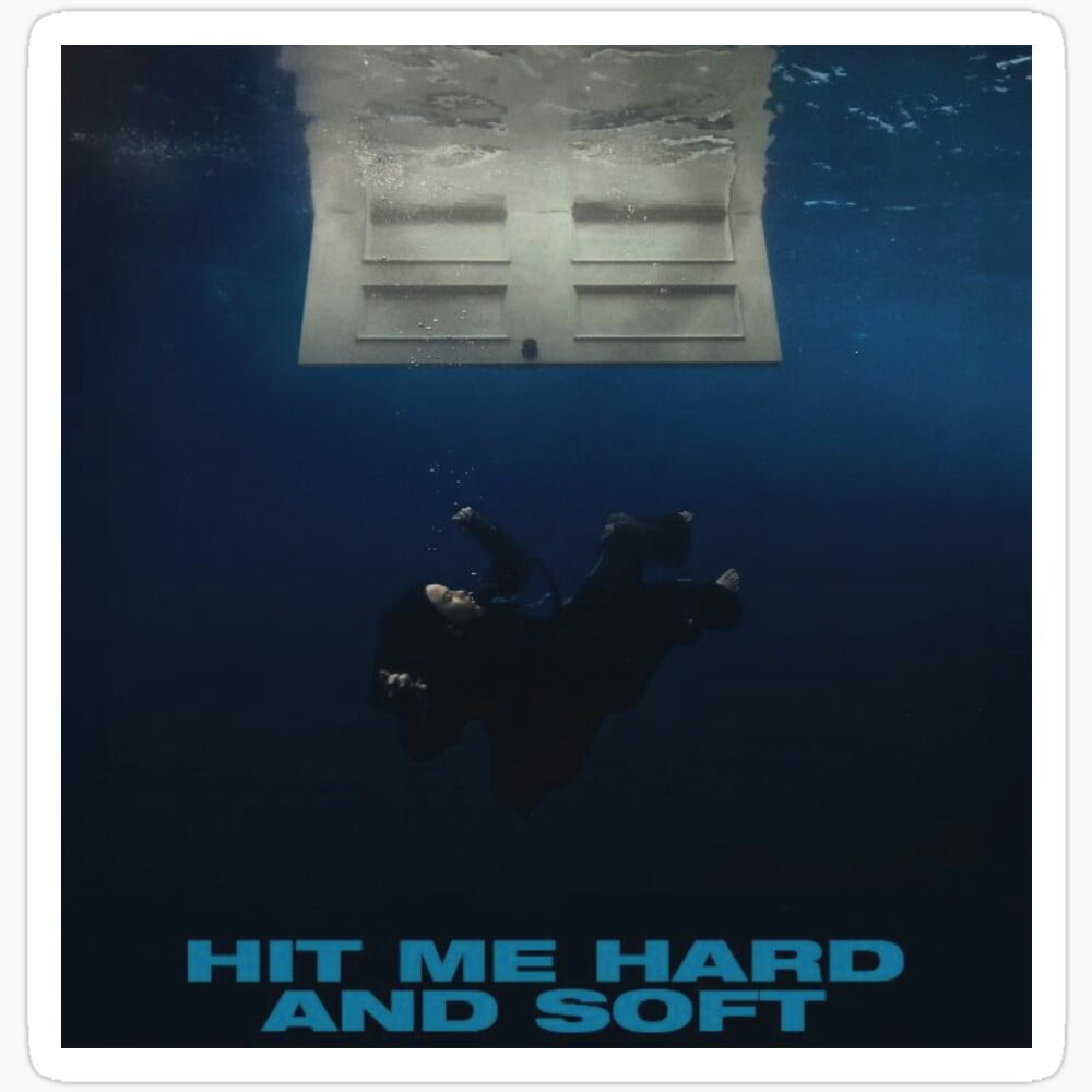 Hit Me Hard And Soft Sticker Phone Decal Water Bottle Stickers Car ...