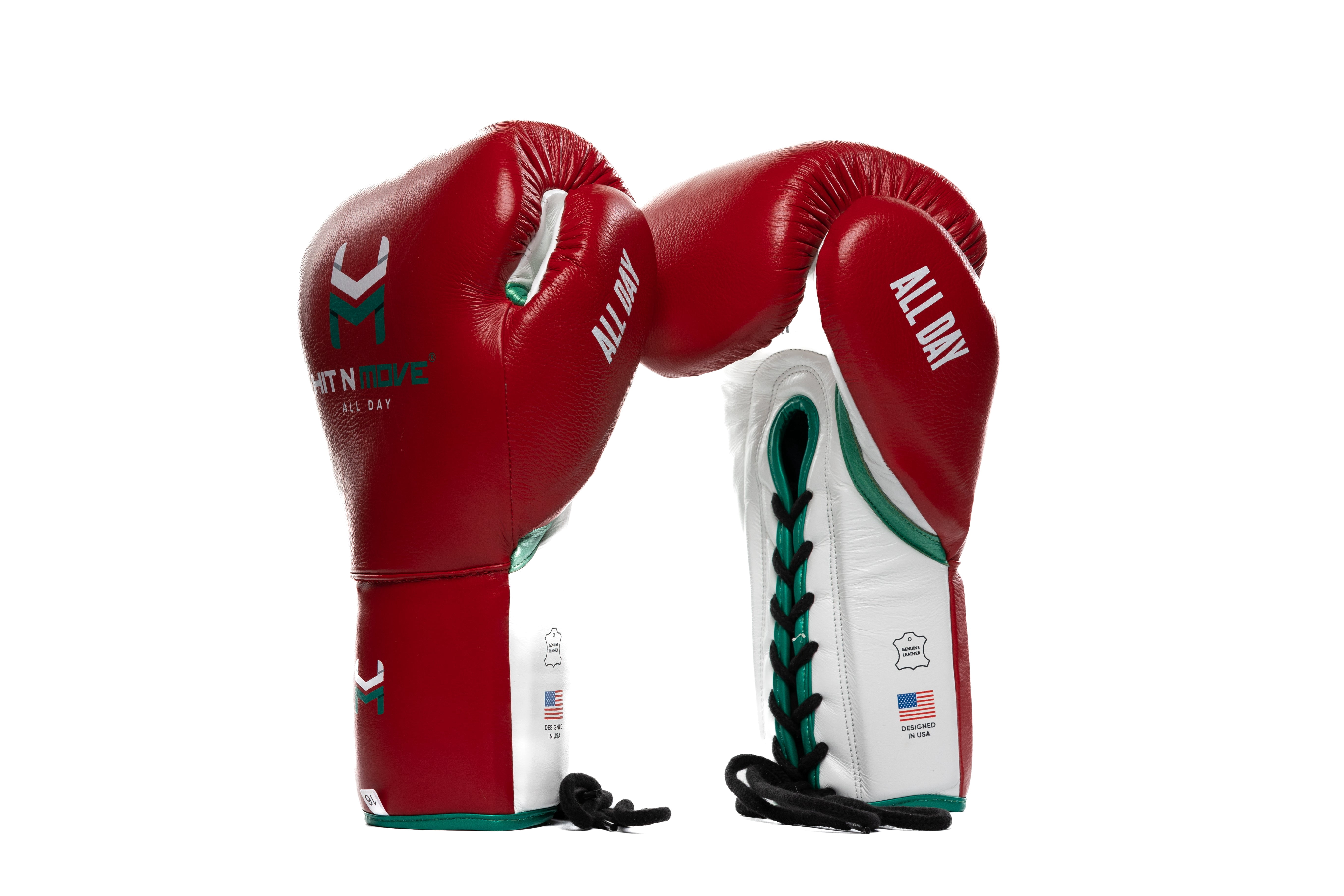 Hit N Move Boxing Gloves - All Day Pro Balance 16oz Red/White/Green ...