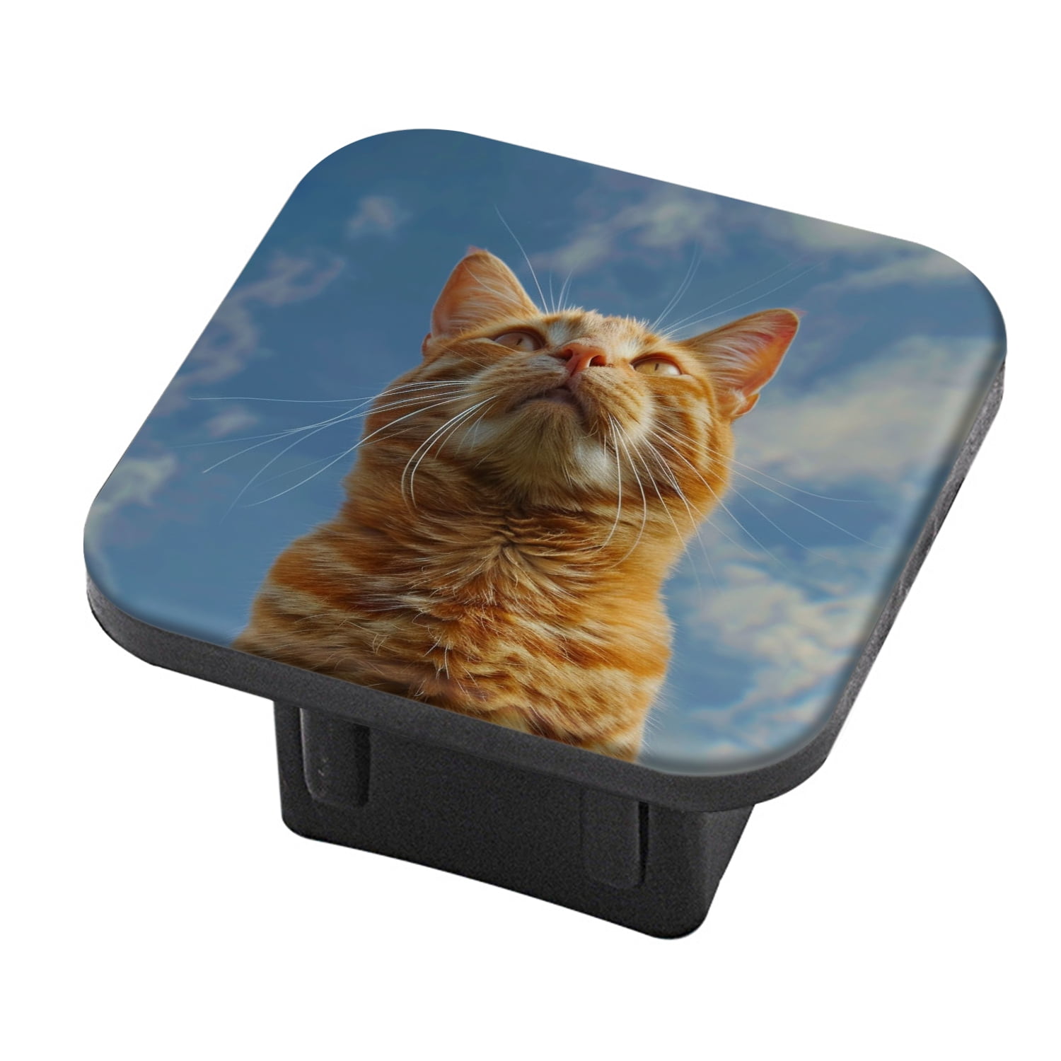 Hitch Cover Fits For 2-Inch Hitch,Cute Ginger Cat Looking Up At The ...