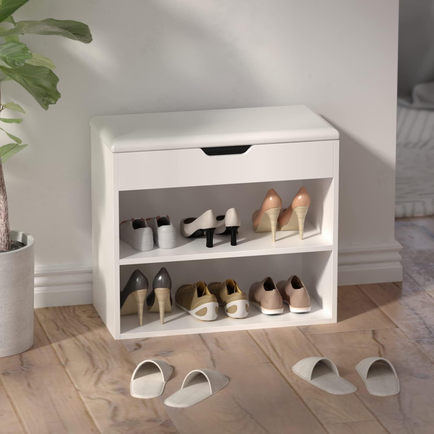 Hitow Shoe Storage with 2 Tiers Shelf, Entryway with Flip Top, Shoe ...