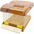 Hive Upgrade Kit with Apimaye Screen Bottom Board with Pollen Trap, 1.1 ...