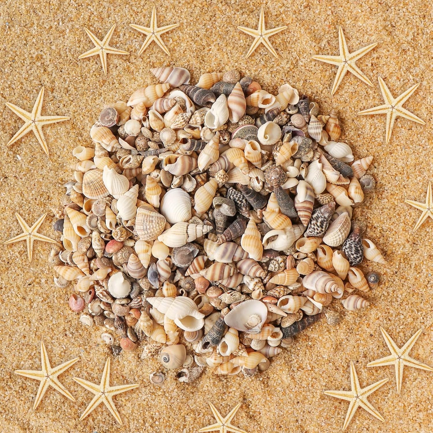 Hltdop 800 Pieces Tiny Sea Shells Small Natural Starfish Mixed Ocean ...