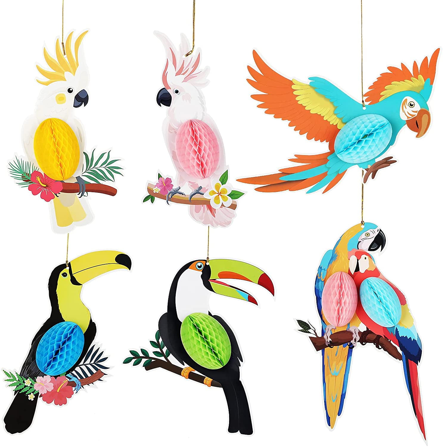 Hltpt 6 Pieces 10 Inch Tropical Parrot Birds Honeycomb Paper Cutouts ...