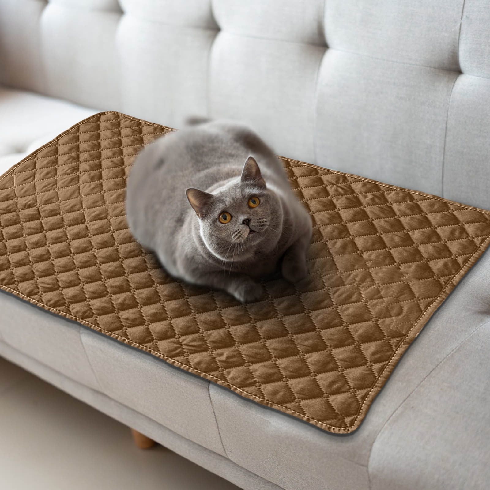 Hmgxay Pet Sofa Mat, Furry Dog Couch Cover with Pillow, Summer Heat ...