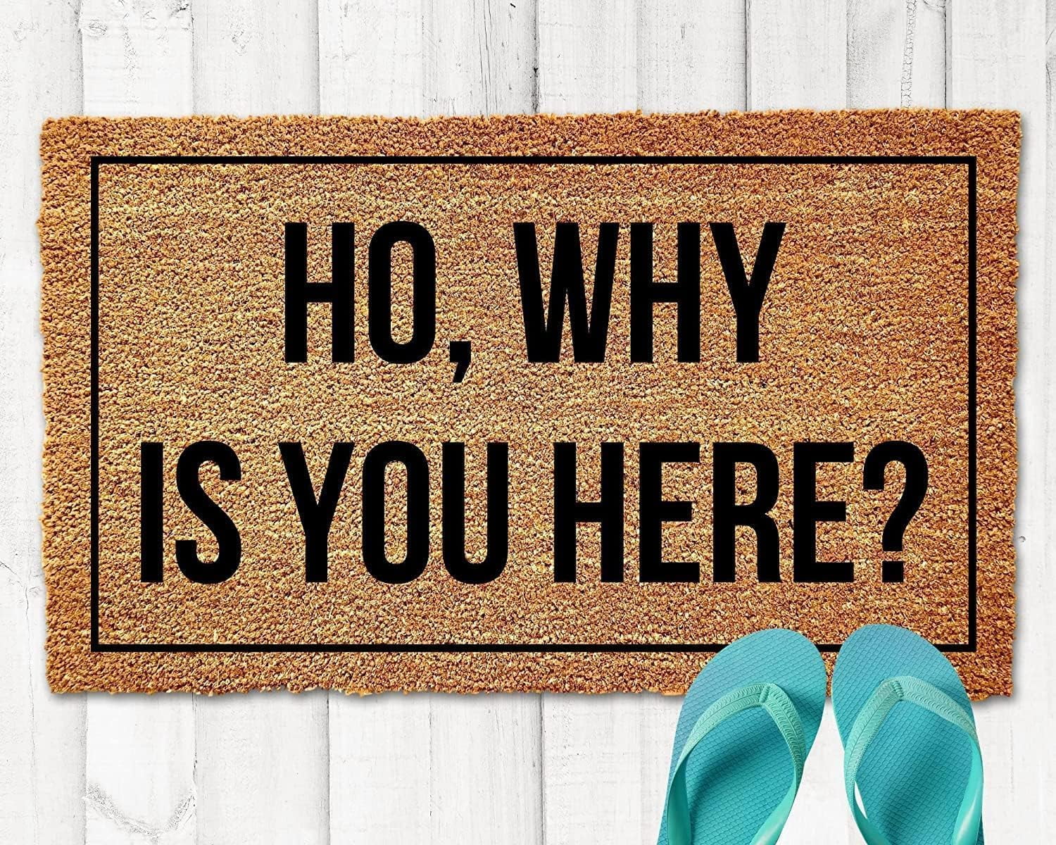 Ho Why is You Here Welcome Non-Slip Mats Funny Doormat Front Door Mat Entrance Bedroom Mat 16x24 ...