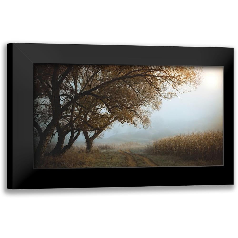 Hoandra, Nicu 24x15 Black Modern Framed Museum Art Print Titled ...