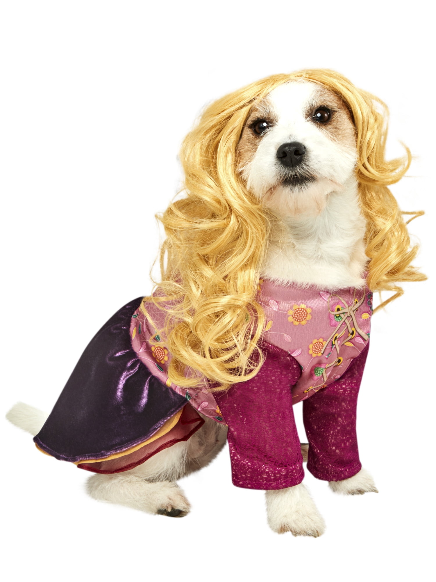 Hocus Pocus Sarah Pet Costume - Walmart.com