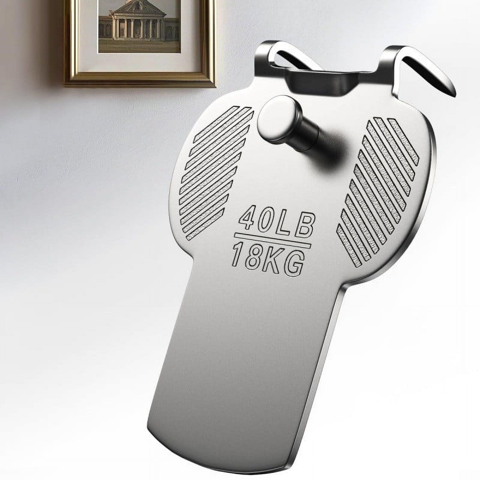 Hodwiequ Drywall Picture Hanging Hooks Claw: 40Lb Large Wall Picture ...