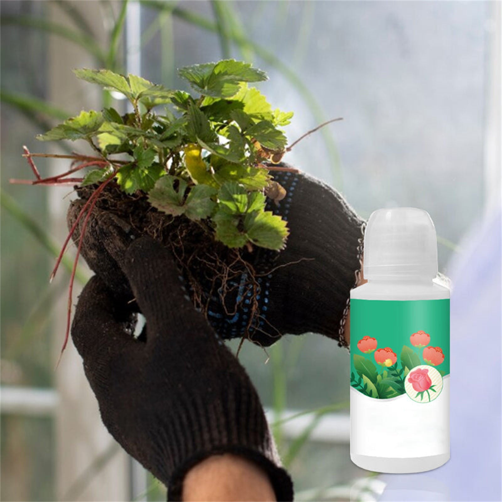 Hodwiequ Root Su Lement, Liquid Root Stimulator For Fiddle Leaf Fig ...
