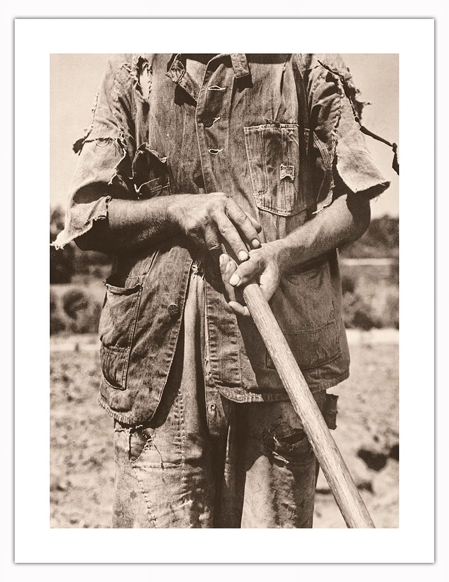Hoe Culture near Anniston Alabama - Vintage B&W Historical Photograph ...