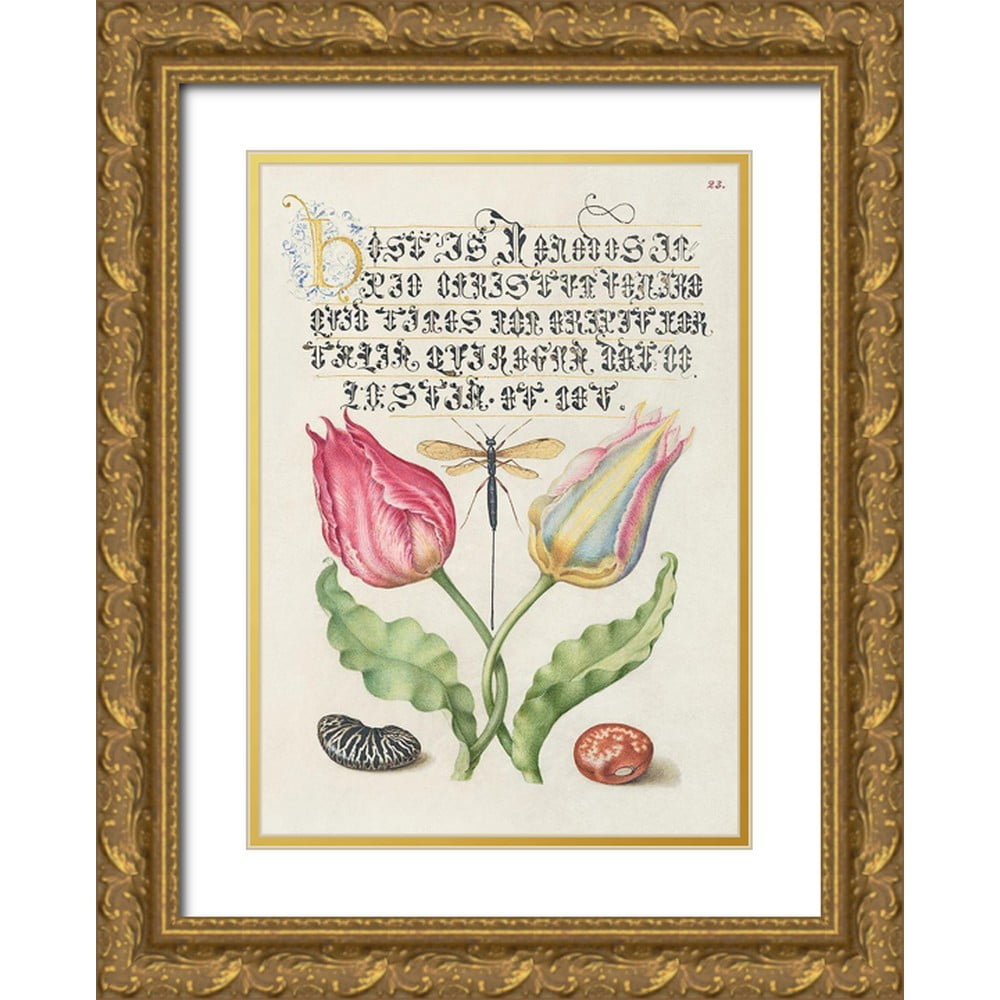 Hoefnagel, Bocskay 11x14 Gold Ornate Wood Framed with Double Matting ...