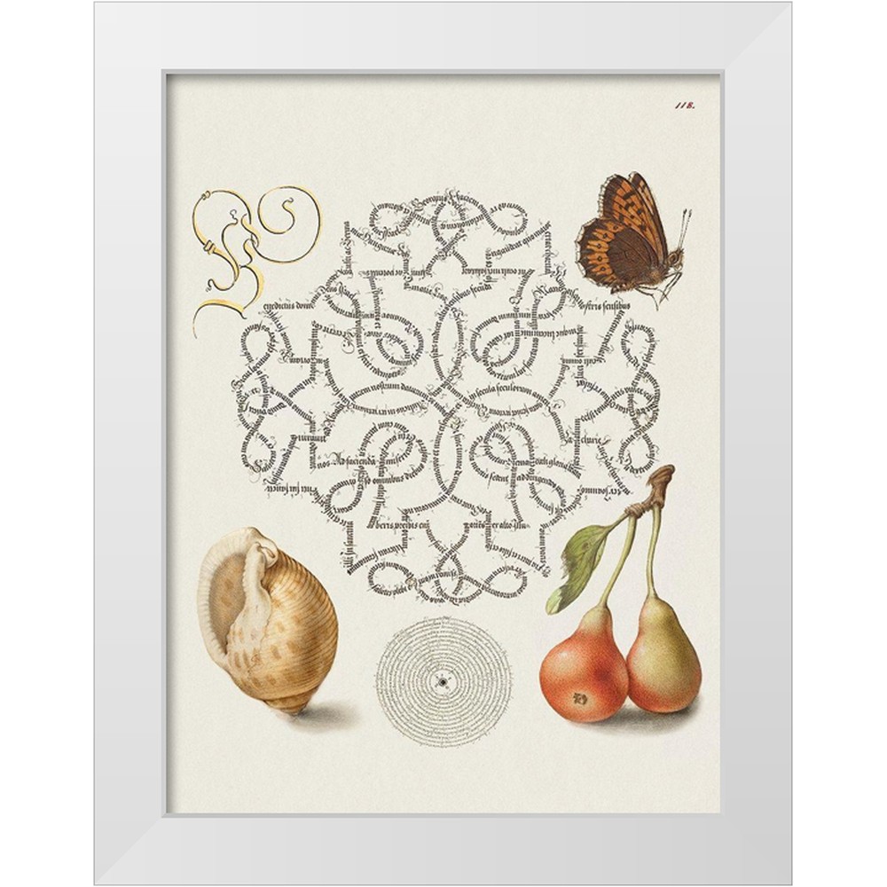 Hoefnagel, Bocskay 19x24 White Modern Wood Framed Museum Art Print ...
