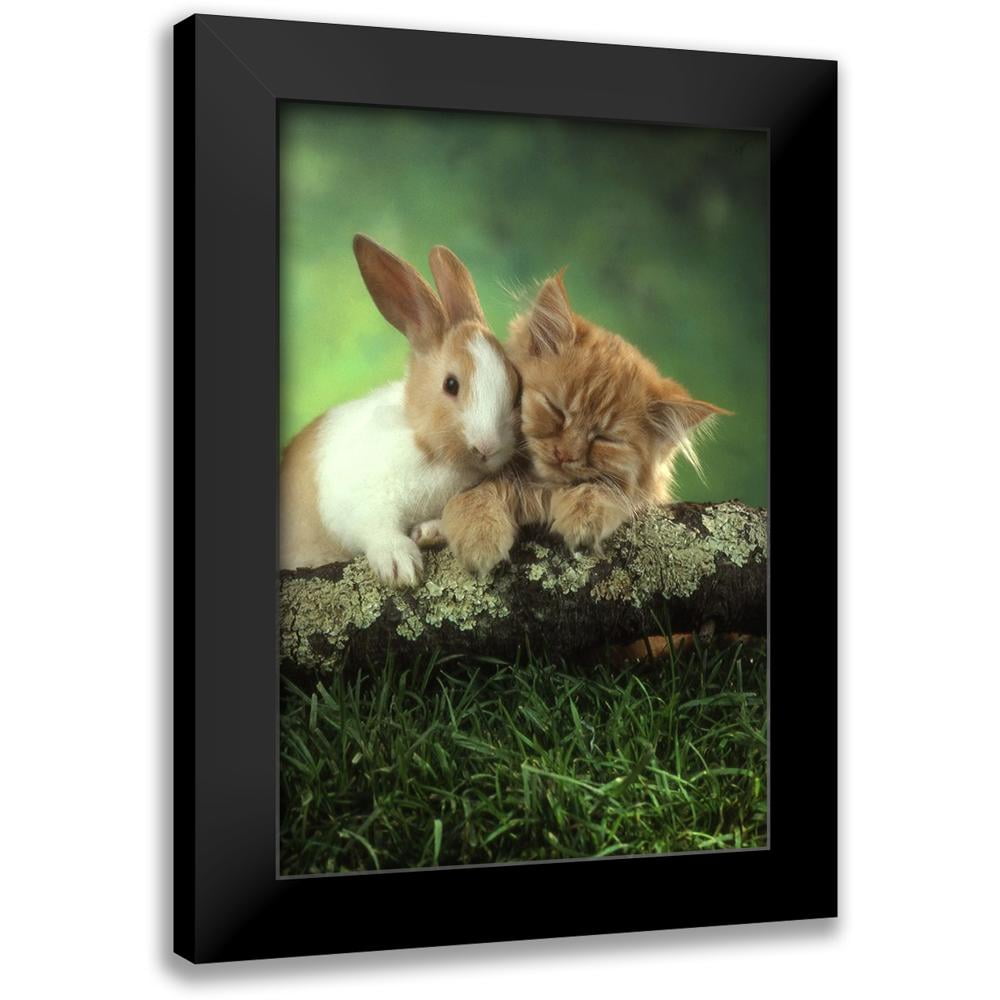 Hoenderkamp, Patrick 13x18 Black Modern Framed Museum Art Print Titled ...