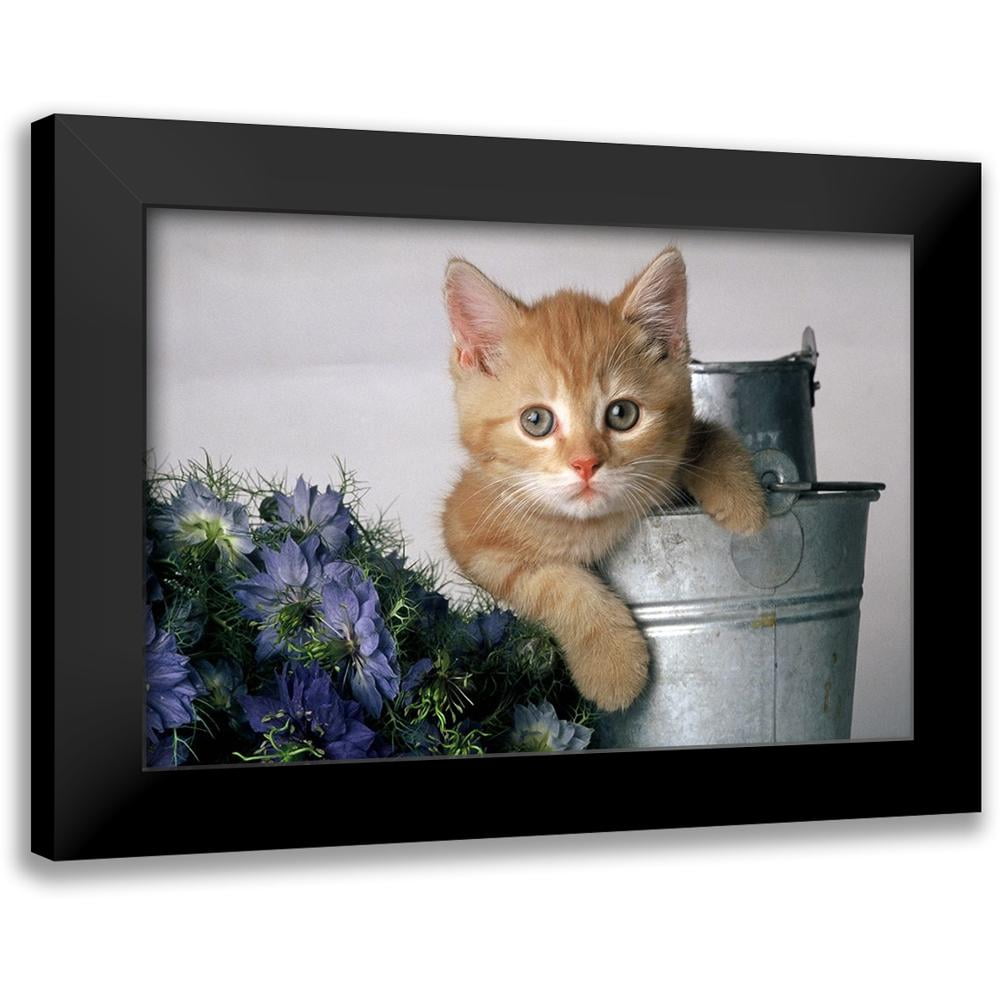 Hoenderkamp, Patrick 14x11 Black Modern Framed Museum Art Print Titled ...