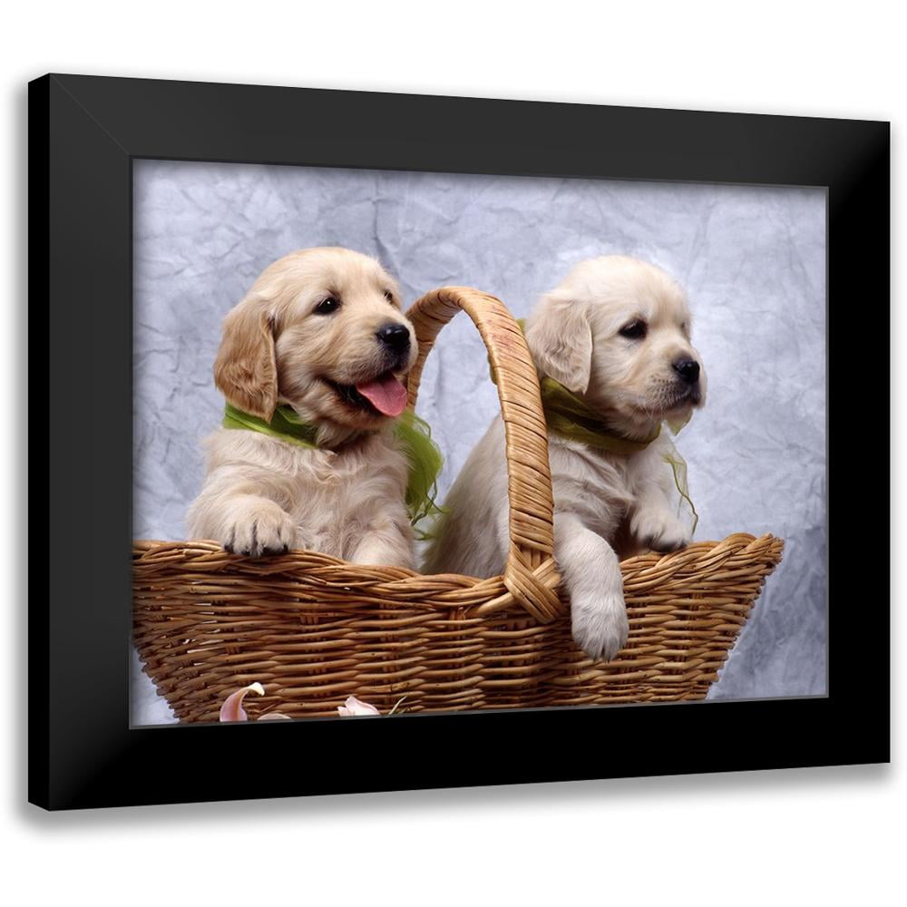 Hoenderkamp, Patrick 14x11 Black Modern Framed Museum Art Print Titled ...