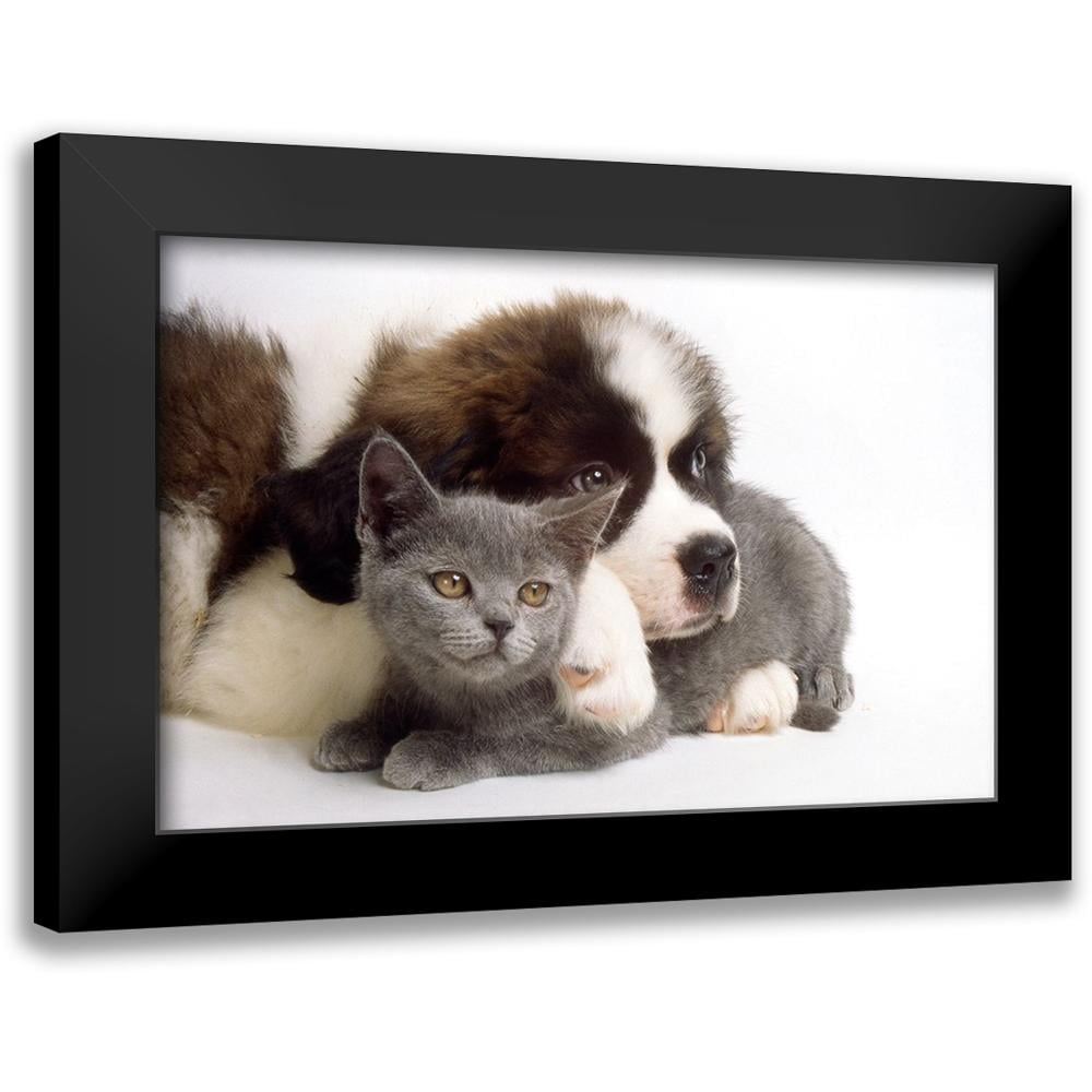 Hoenderkamp, Patrick 14x11 Black Modern Framed Museum Art Print Titled ...