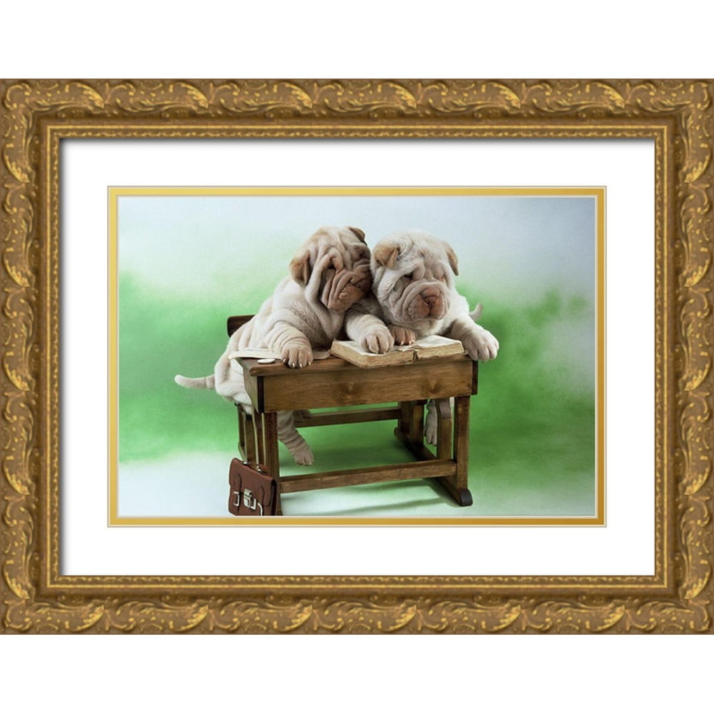 Hoenderkamp, Patrick 14x11 Gold Ornate Wood Framed with Double Matting ...