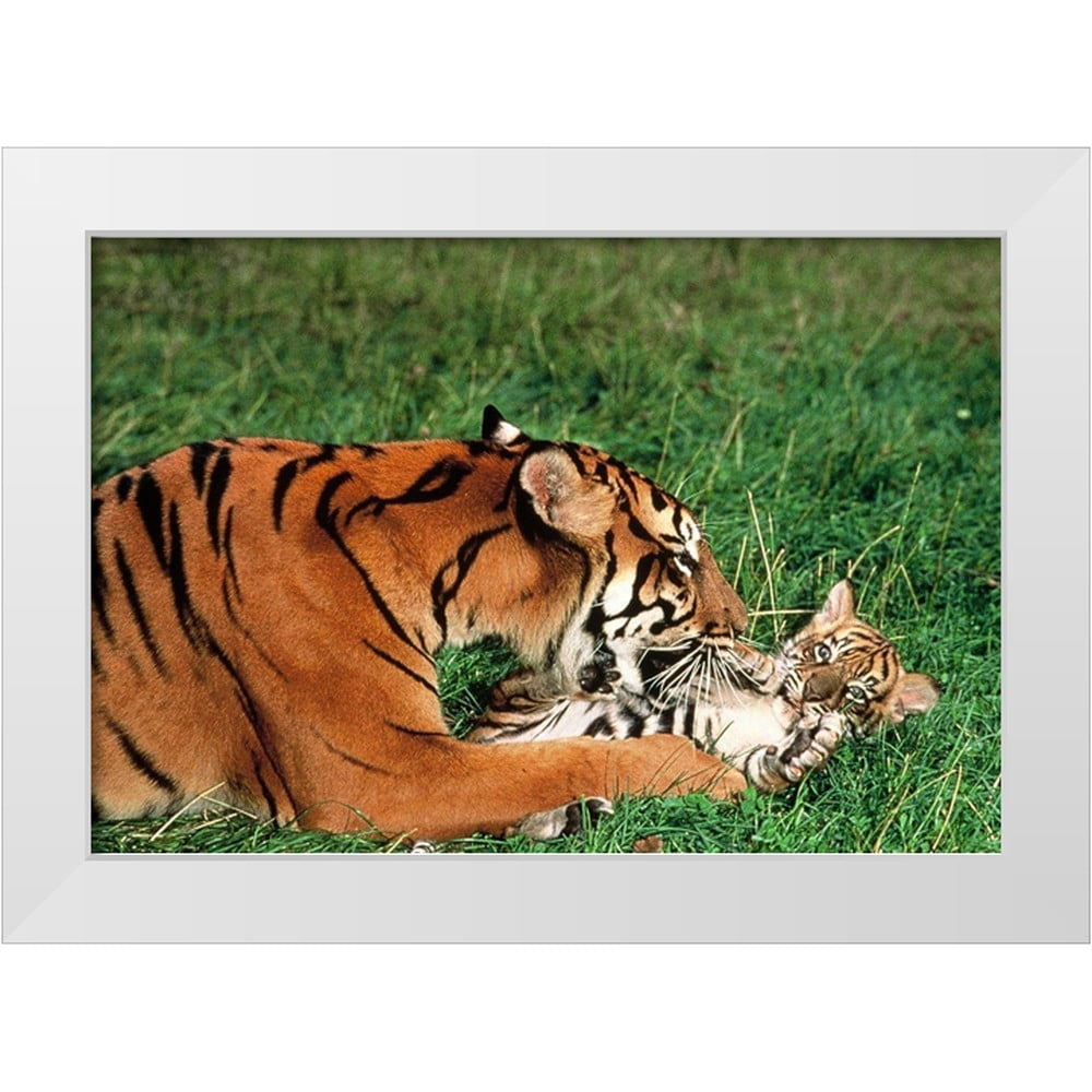 Hoenderkamp, Patrick 14x11 White Modern Wood Framed Museum Art Print ...